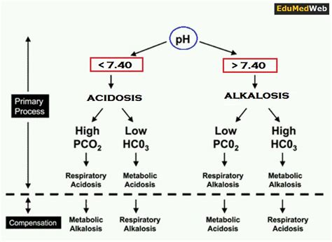 Image result for ABG Interpretation Guide