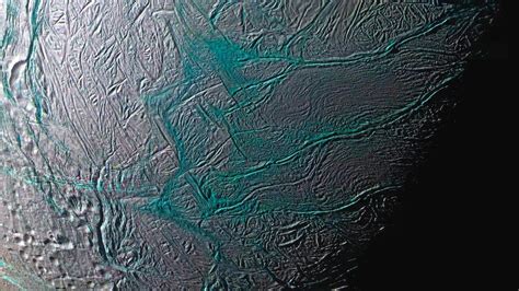 Image result for Alien Suche