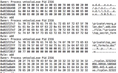 Image result for Dsentry.exe Process