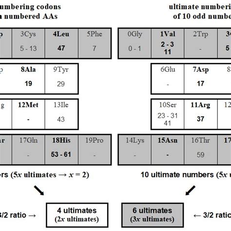 Image result for Ten-code Usage