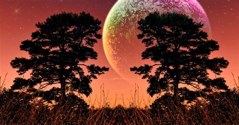 Image result for Alien Sights