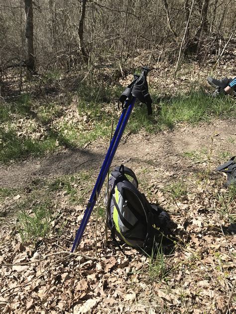 Image result for Excursion Meaning