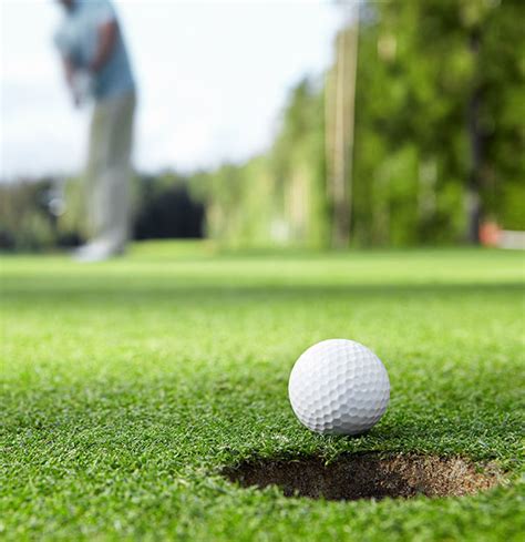 Image result for Advanced Putting Lessons