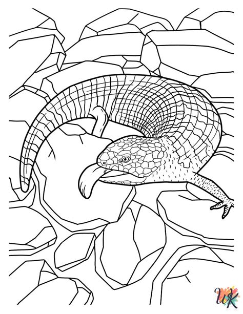 Image result for Lizard Coloring Pages