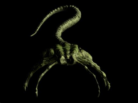 Image result for Alien Huggers