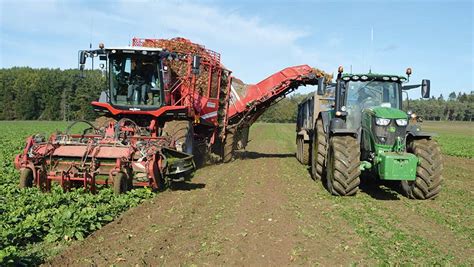 Image result for Sugar Beet Containers