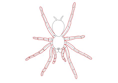 Image result for Basic Spider Drawing