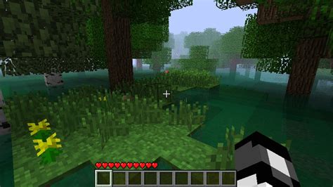 Image result for Minecraft Swamp Biome On Map