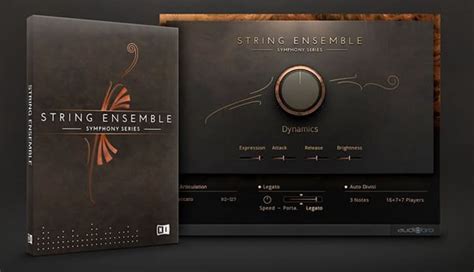 Image result for Strings Ensemble Native Instruments