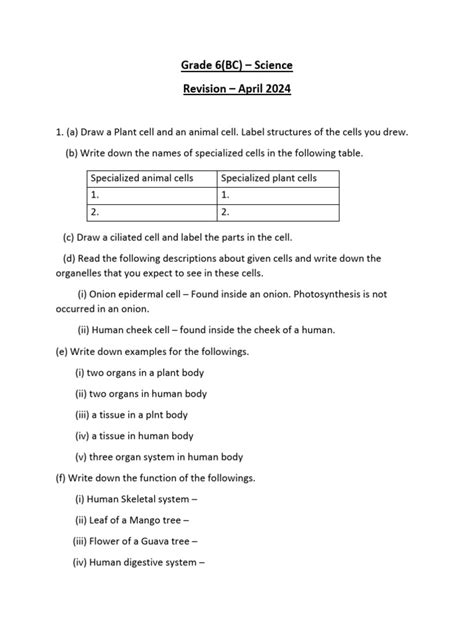 Image result for Class 6 Revision Papers Science