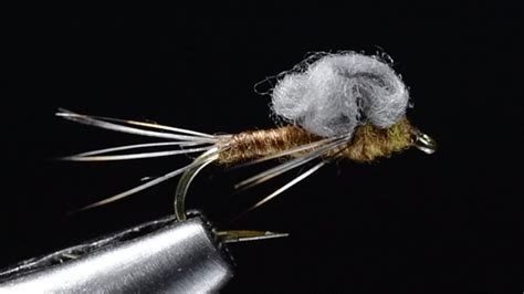 Image result for Floating Nymph Fly Pattern