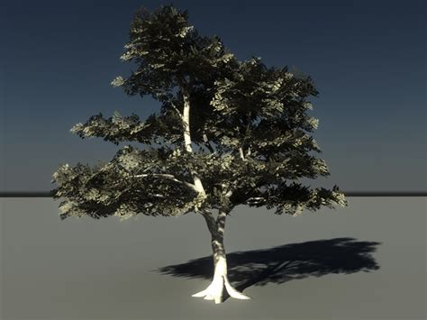 Image result for Tree Texture Maya