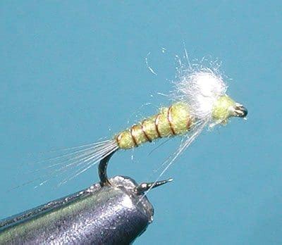 Image result for Floating Nymph Fly Pattern