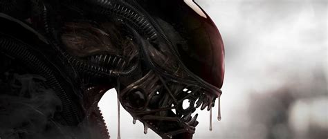Image result for Alien Pelicula