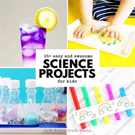 Image result for Science Projects Homemade Easy