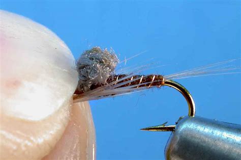 Image result for Floating Nymph Fly Pattern