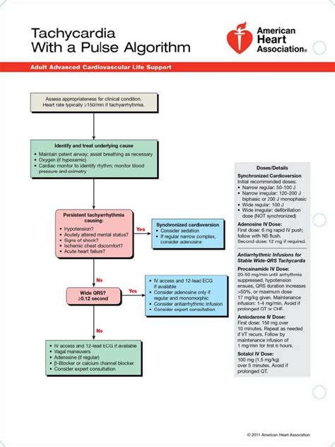 AHA Tachycardia With A Pulse Algorithm | PDF