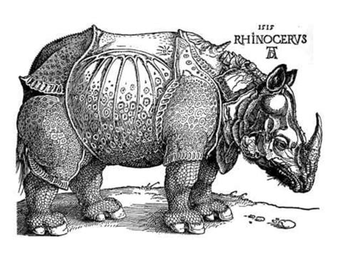 Image result for Line Drawing Tutorials