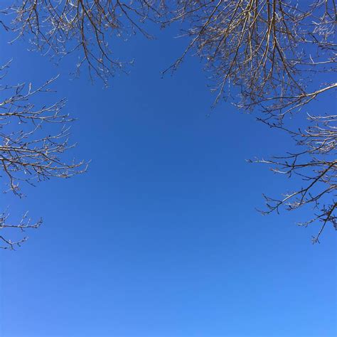 Image result for Java Coffee Machine