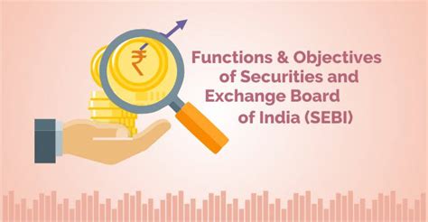 Image result for Sebi Functions