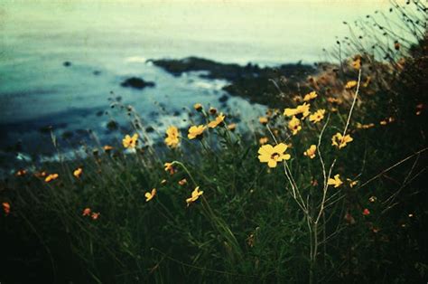 Image result for Spring First Movement