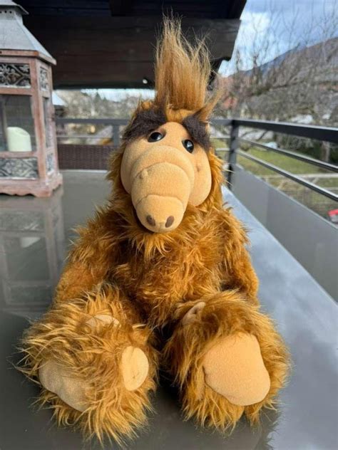 Image result for Alien Productions Alf