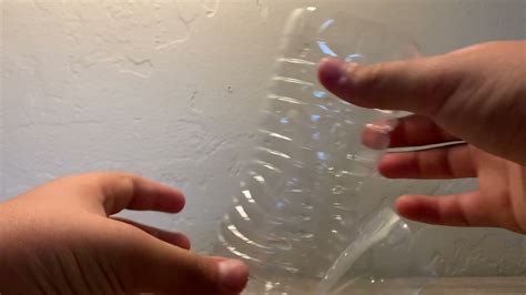 Image result for Easy Homemade Lizard Traps