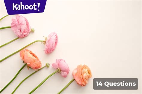 Image result for AP Physics Spining Spring