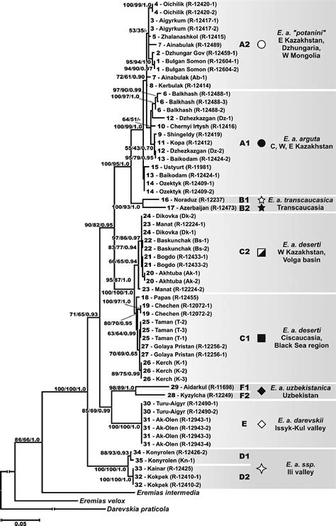 Image result for AronRa Systematic Classification System