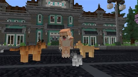 Image result for Pet Store Tutorial N Minecraft