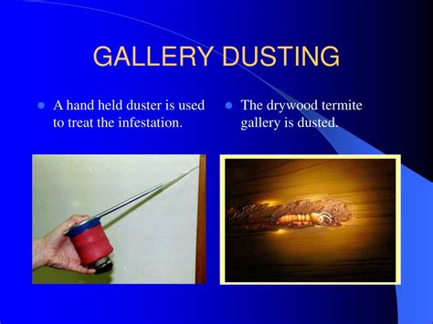 Image result for Structural Pest Control Test