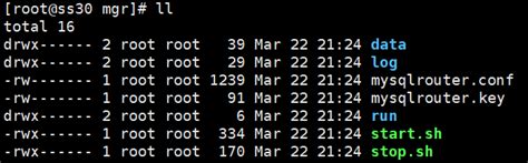 Image result for MySQL Router Configuration