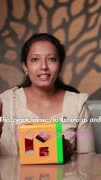 The Science of Making a Baby | Ovulation to Pregnancy Explained Simply