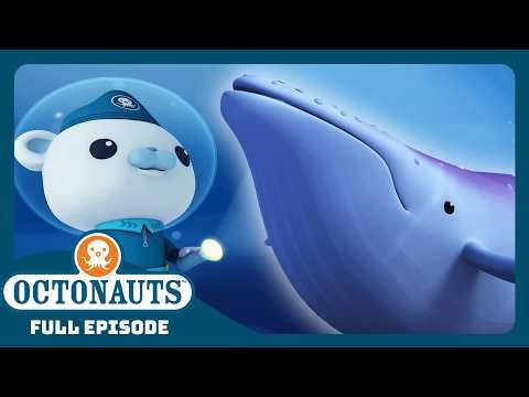 @Octonauts - 🔦 The Albino Humpback Whale 🐋 | Season 1 | Full Episode | Cartoons for Kids