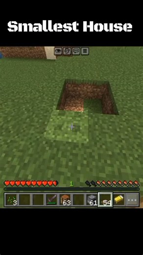 oatvkoG999 on Instagram: "Minecraft smallest House #minecraft #minecraftmemes"