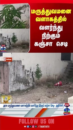Hospital | chennai | thanthitv