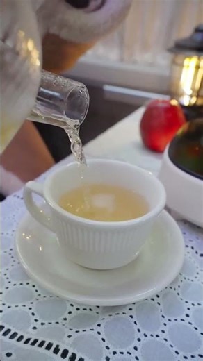 #recreationalvehicle #travel #camping #travel trailer camping#automobile