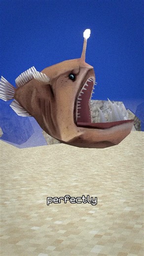 How an Anglerfish Hunts