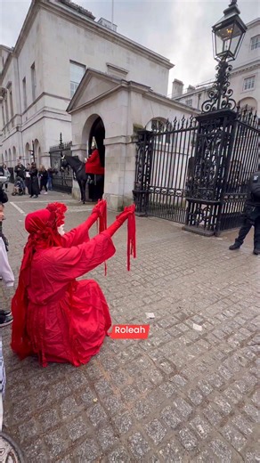 Unica Hija on Instagram: "No RESPECT! An Extinction Rebellion group from the protests arrived at Horse Guards, The Corporal of Horse shouted at protesters who were blocking the Changing of the Guard ceremony #trendingreelsvideo #reelsviral #highlight #police #everyone #viral #trending #followers #fblifestyle #protests #london"