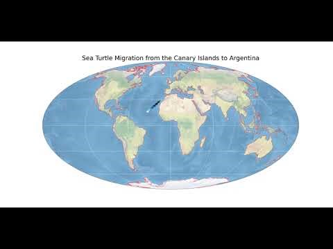 Turtle Path Migration