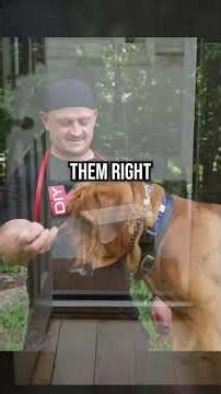 The Only Dog Training Tools I Actually Use!