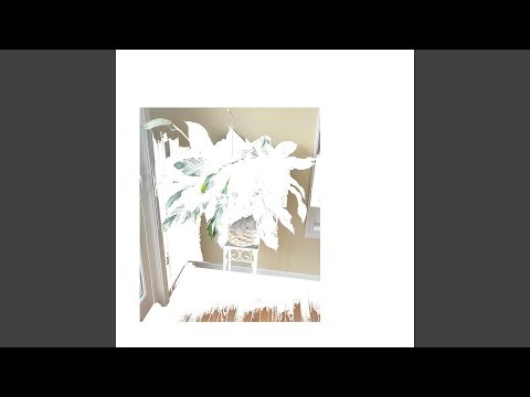 When a Computer Dies, It Gives Up Its Limbs