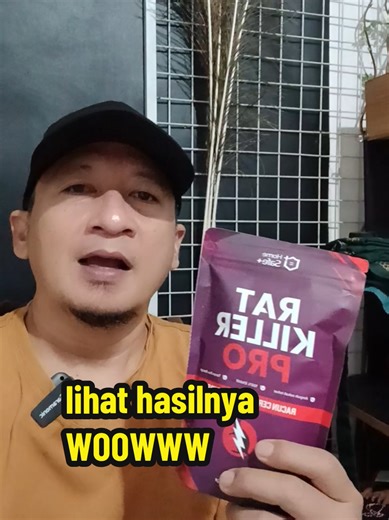 Effective Rat Control Solutions for Your Home