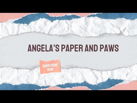 Amazon Sticker Book haul