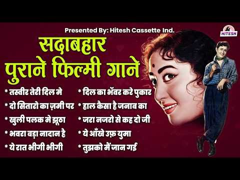 सदाबहार पुराने फिल्मी गाने | तस्वीर तेरी दिल मे | ये रात भीगी भीगी | Old Hindi Songs | Purane Gane