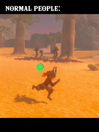 PRO VS. NORMAL! 🎮 Tears of the Kingdom Combat Skills! CREDIT: Epic gameplay by MRKD GAMING. There are two types of Zelda players... Which one are you? 🫠 Check out these insane combat skills against Phantom Ganon! ⚔️🛡️ Follow MRKD GAMING on YouTube for more high-level TotK gameplay and funny gaming comparisons! 📺✨ #nintenderos #Zelda #TearsOfTheKingdom #TotK #Link #Nintendo #Gaming #ProGamer #PhantomGanon #CombatSkills #Viral #TikTokGaming #NintenderosTeam #MRKDGaming