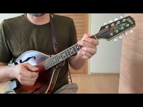 Willafjord (With Tabs) - Mandolin Lesson