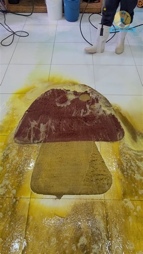 Cleaning satisfying the extremely dirty carpet #fblifestyle #asmr #cleaning | Magnus Rug Cleaning