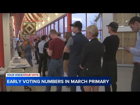 Strong early voter turnout seen in Harris County