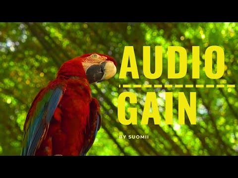 Audio Gain vs Volume Control | Premiere Pro Practice Edit